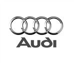 Audi – He-Man Dual Controls